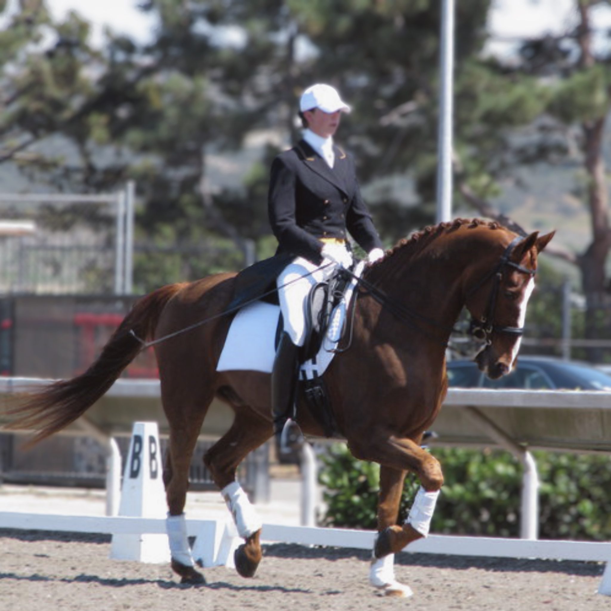 Equestrian fitness training for all levels and all disciplines.